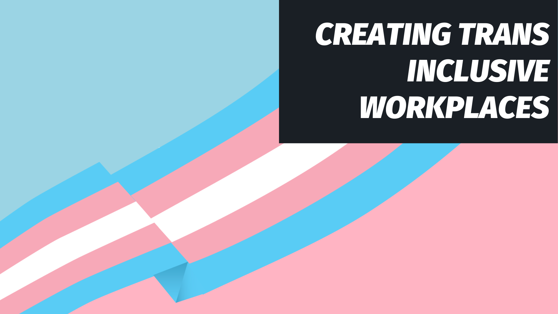 Free webcast | Creating trans inclusive workplaces | NRA