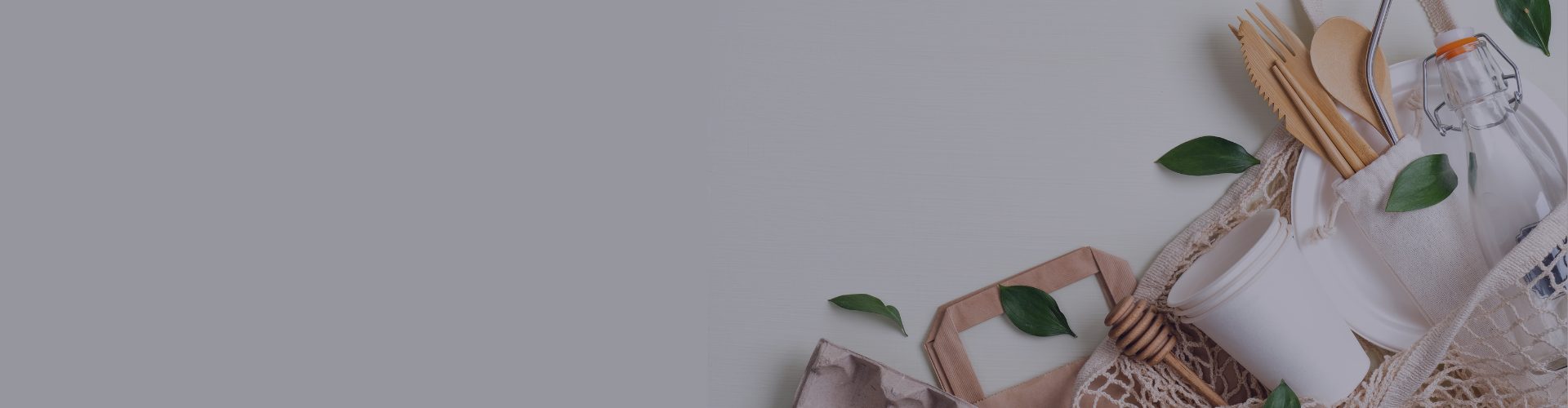 PLACEHOLDER - National Packaging Targets session with APCO - National ...